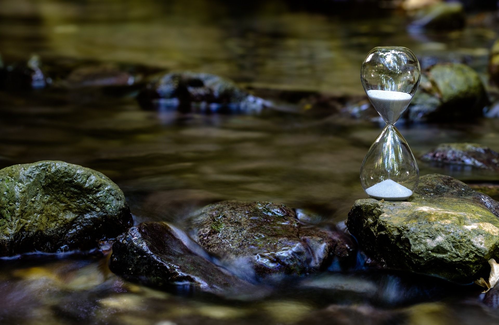 Patience exemplaire